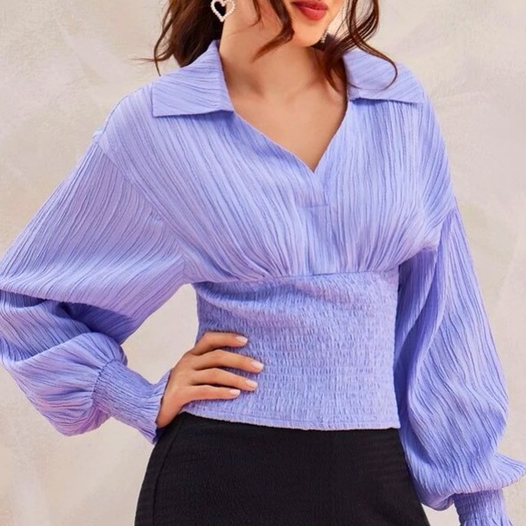 Lavishly Paris | Tops | Nwt Lavishly Paris V Neck Collared Violet ...